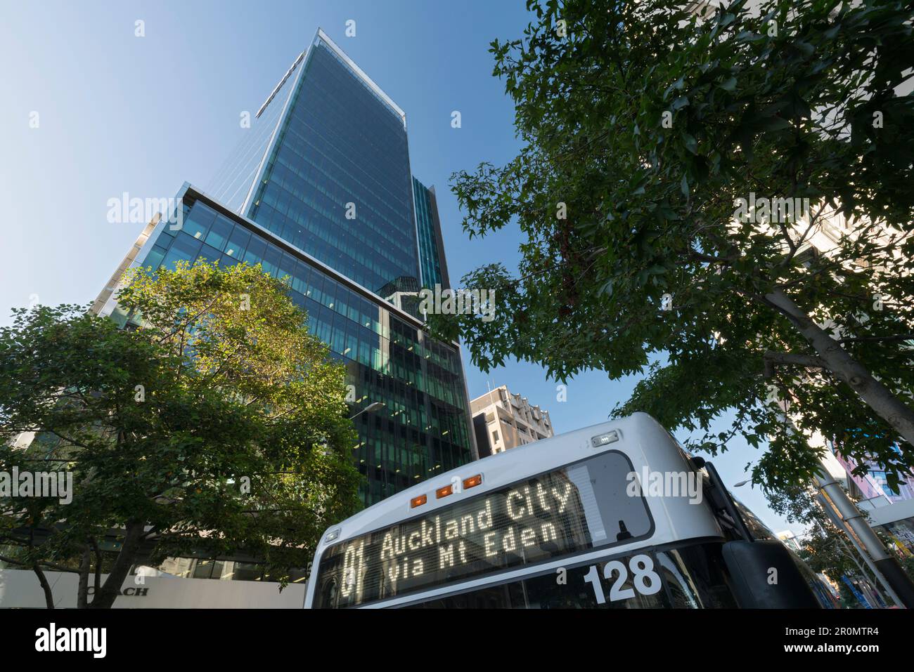 Skyscrapers in Downtown Auckland, Bus, North Island, New Zealand ...