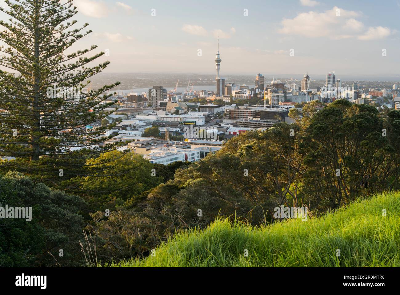 View over auckland from mount eden hi-res stock photography and images ...