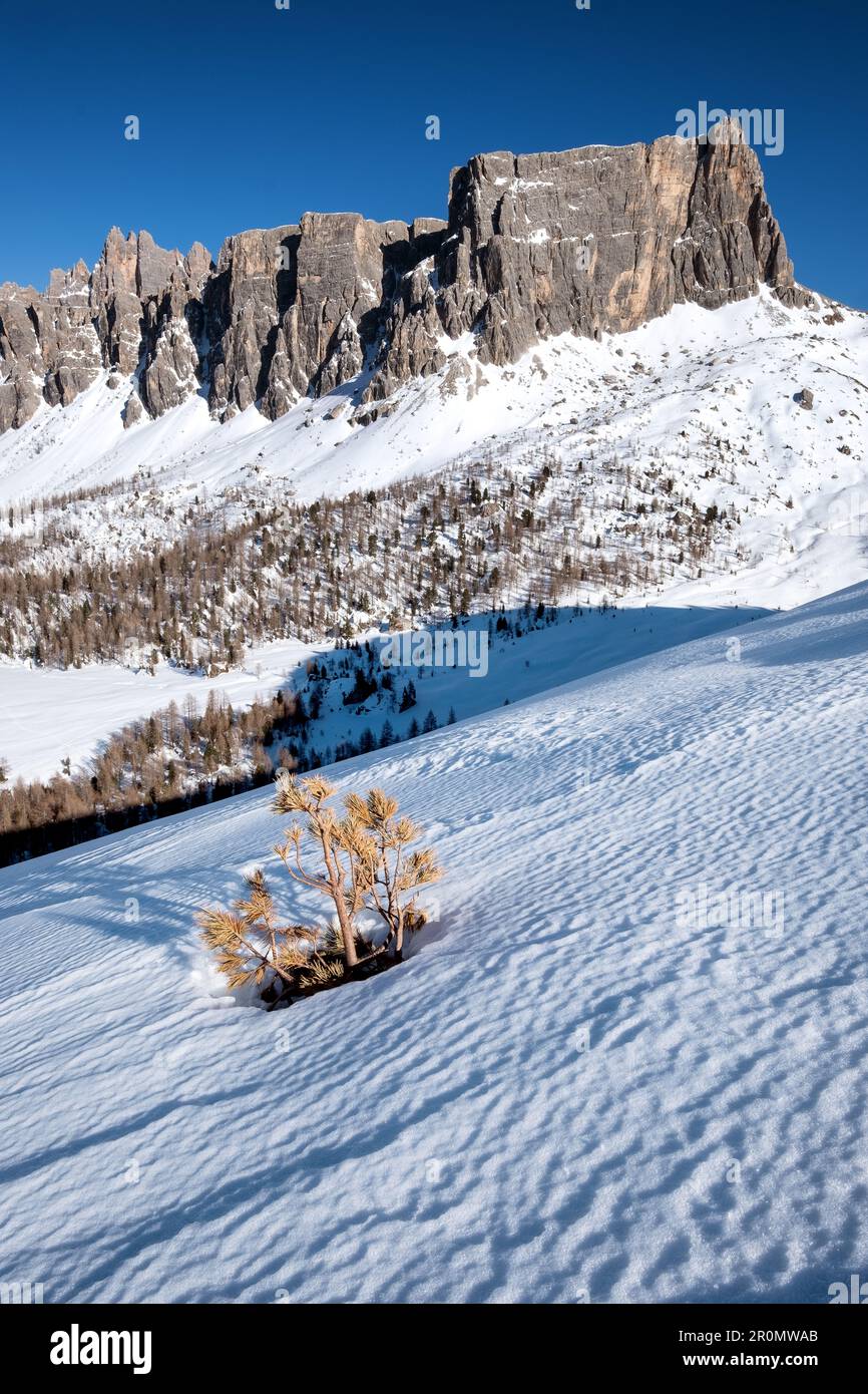 Mountain formation in the Dolomites in the snowy landscape in winter ...