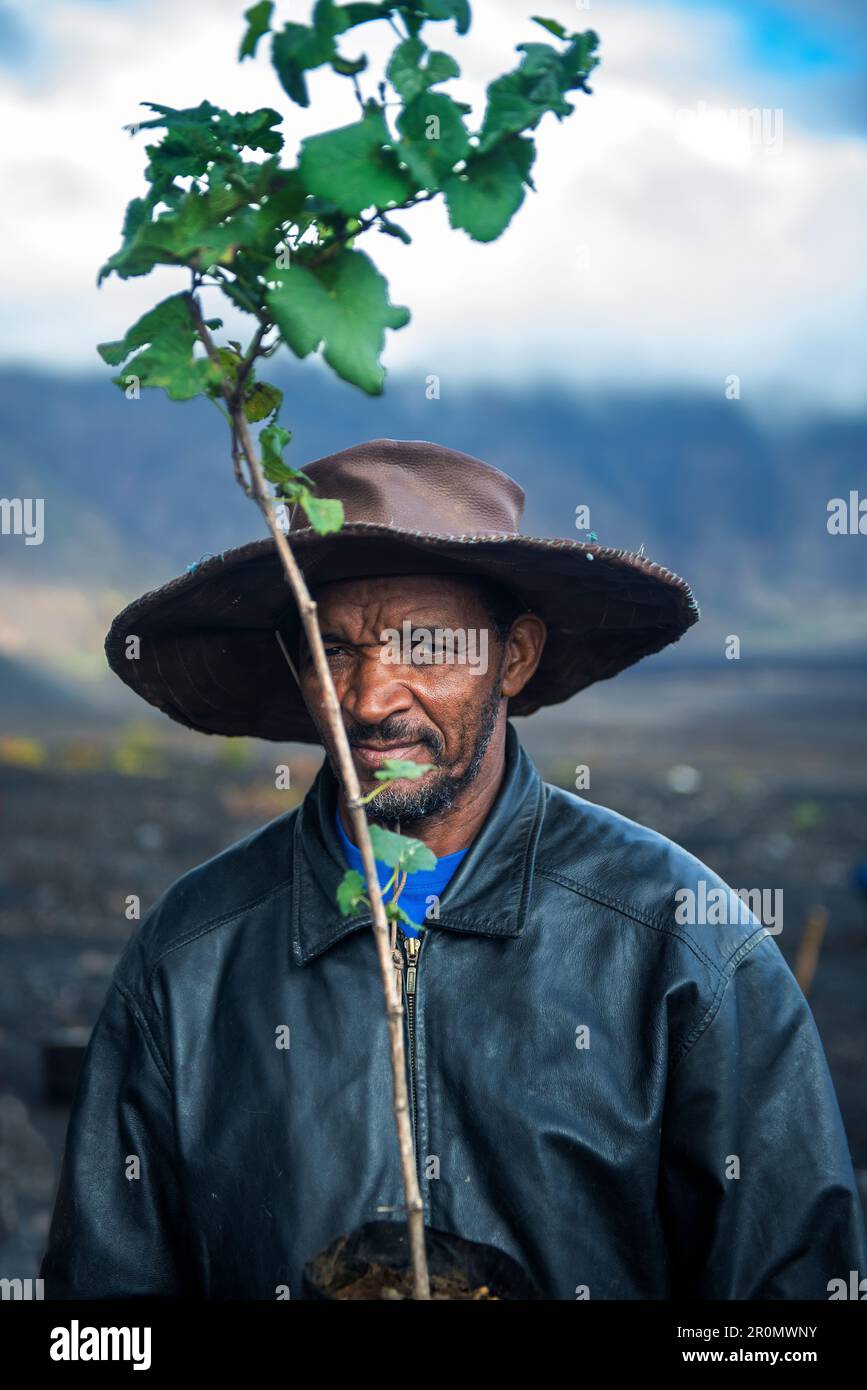 Fogo cape verde wine hi-res stock photography and images - Alamy