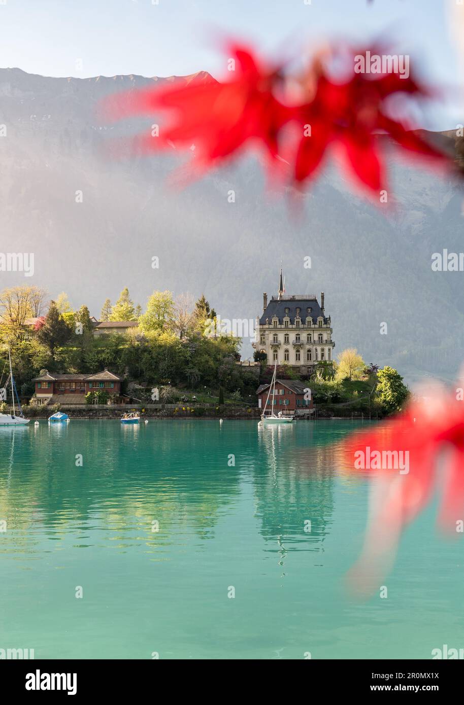 view of Schloss Seeburg, Iseltwald in turquoise Lake Brienz Stock Photo ...