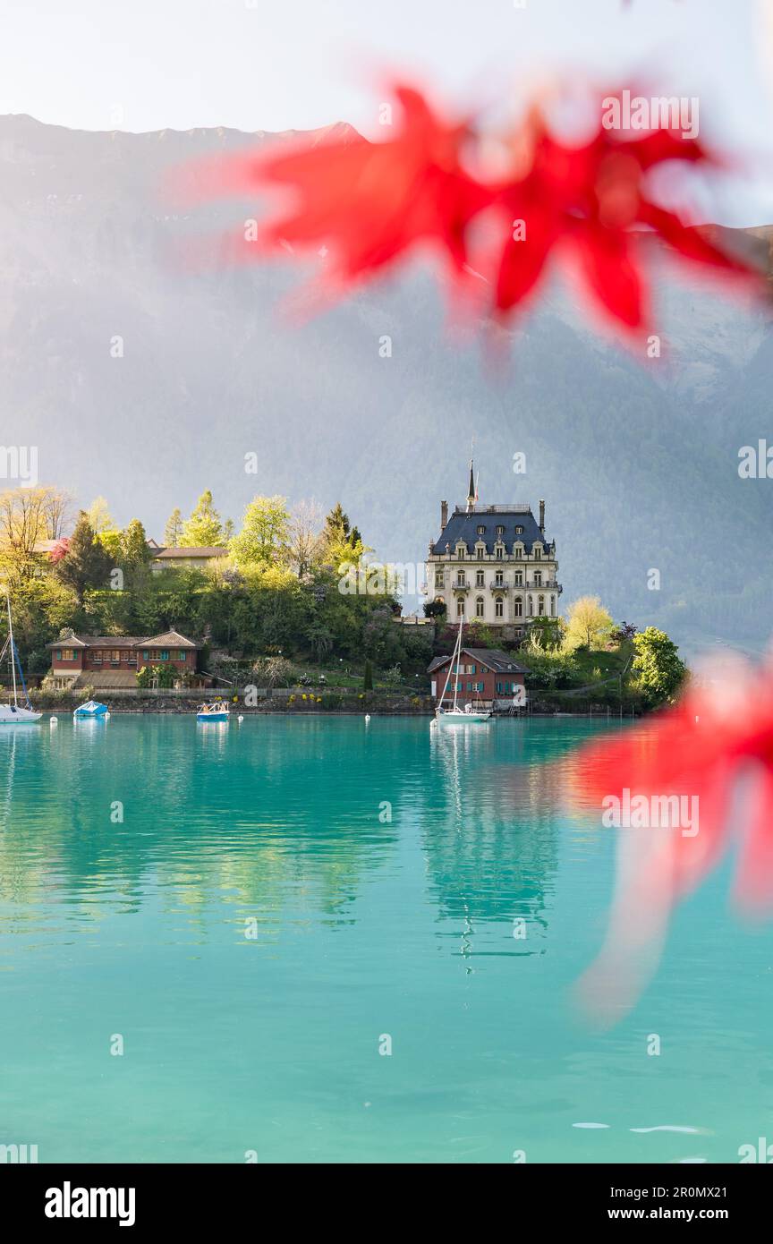 view of Schloss Seeburg, Iseltwald in turquoise Lake Brienz Stock Photo ...
