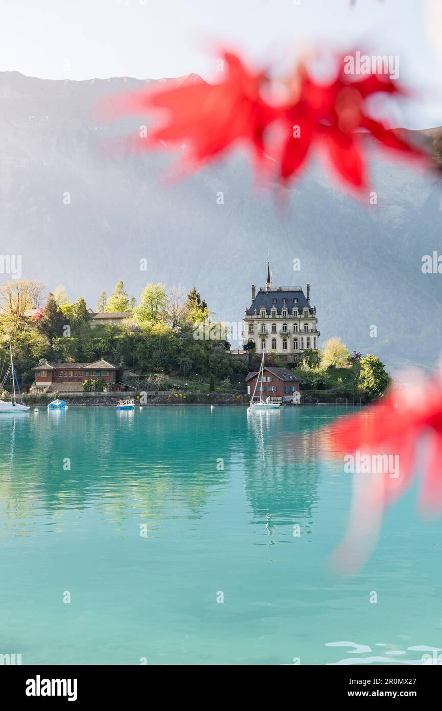 view of Schloss Seeburg, Iseltwald in turquoise Lake Brienz Stock Photo - Alamy
