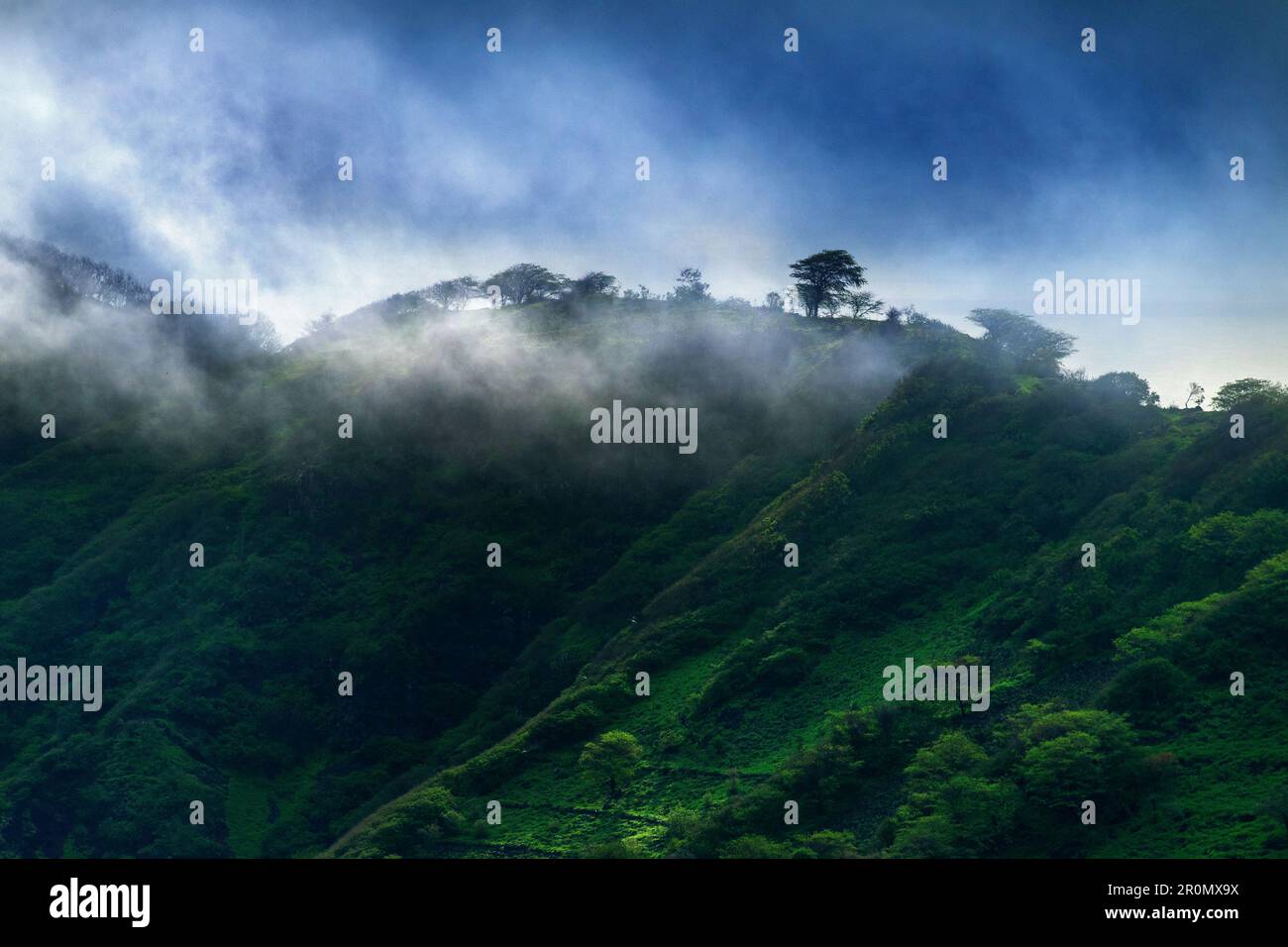 Cape Verde, Island Santiago, landscapes, rain season, morning fog Stock ...
