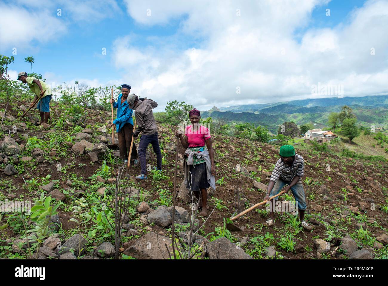 Cape Verde, Island Santiago, rain season , mountains, farmers working ...
