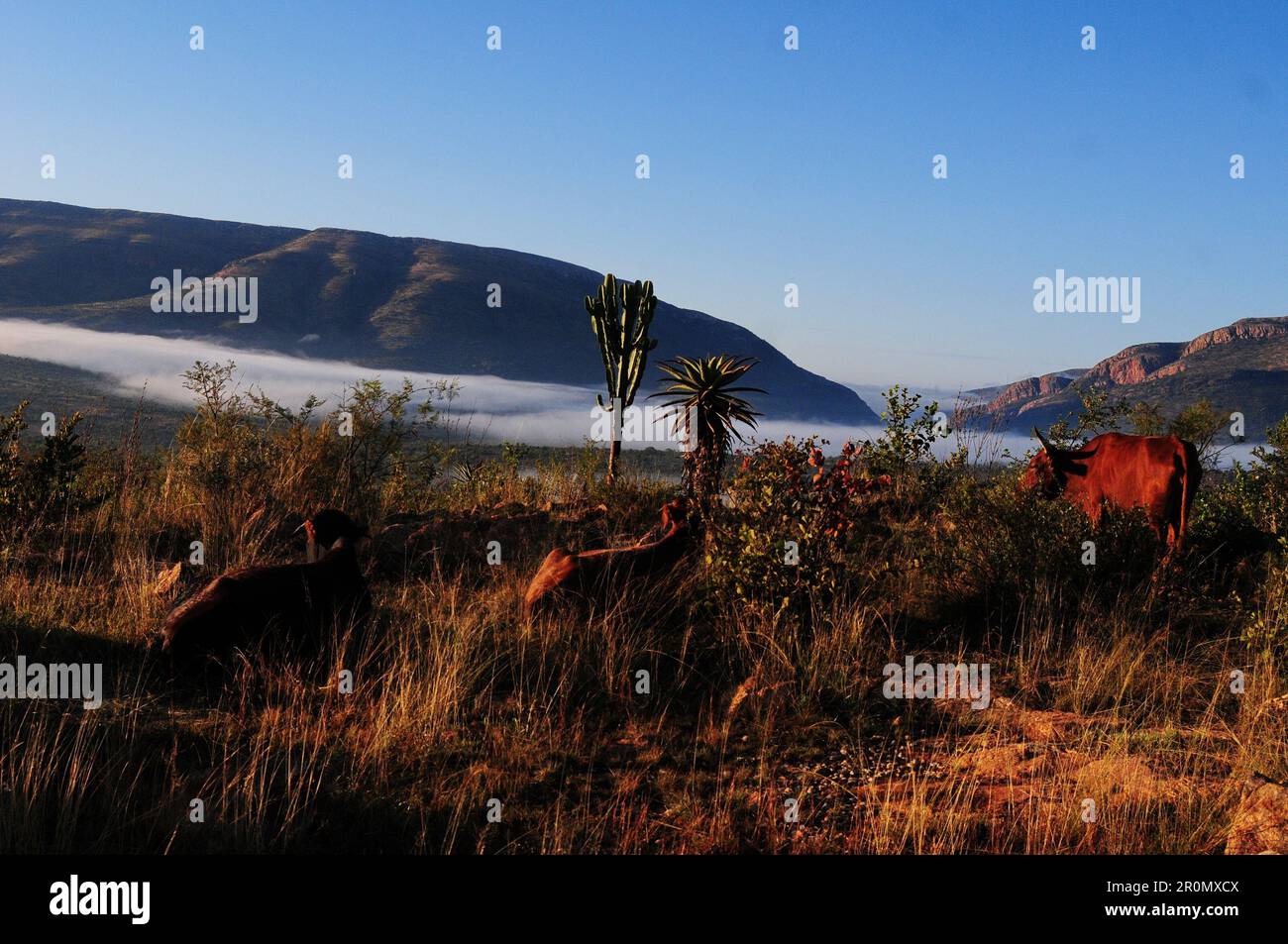 Ga maja hi-res stock photography and images - Alamy