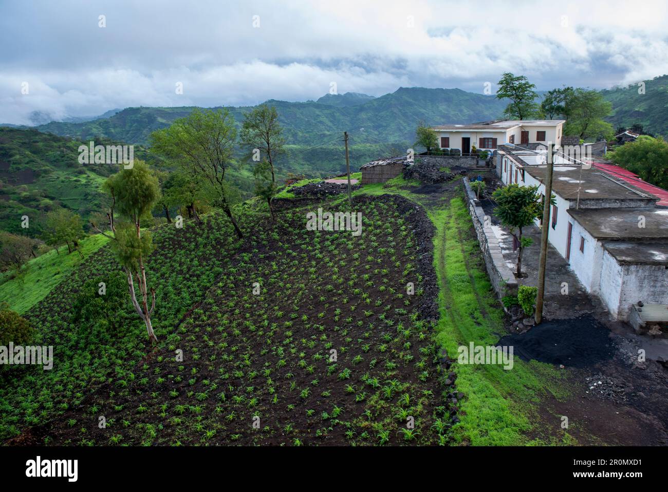 Cape Verde, Island Santiago, landscapes, rain season Stock Photo - Alamy