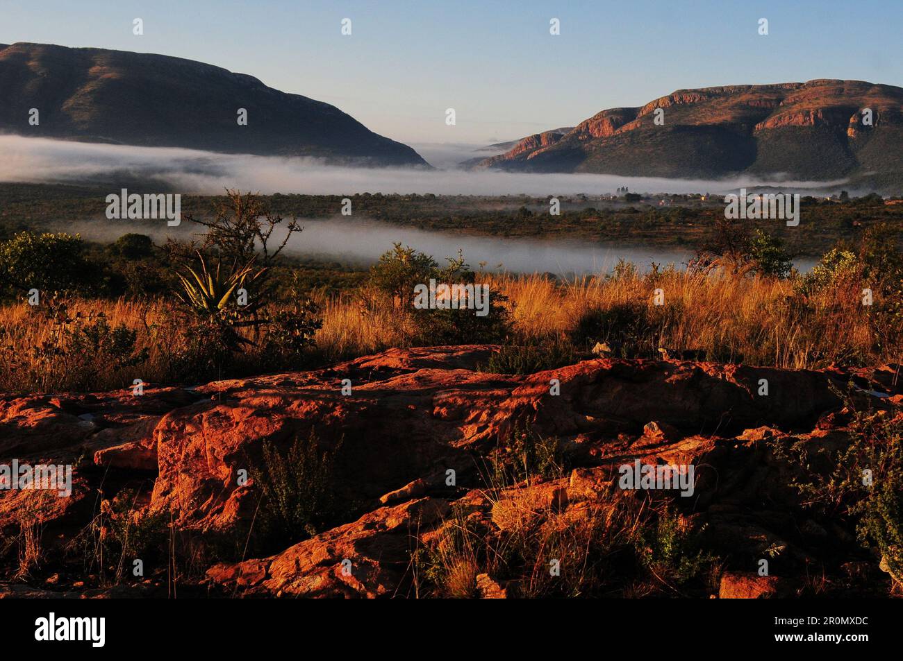 A blanket of mist hovers over Ga-Maja village in South Africa's Limpopo ...