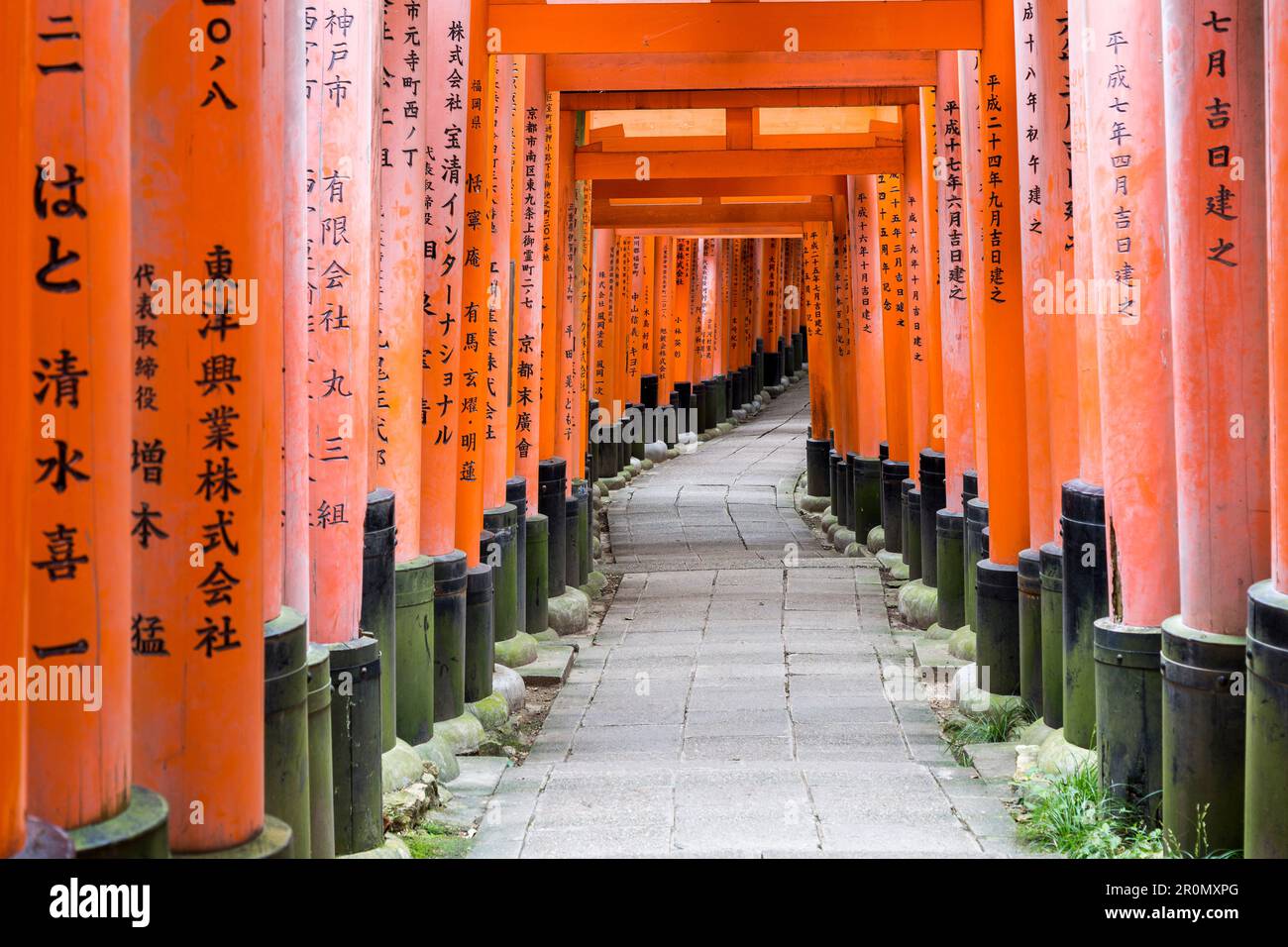 Fushimi Inari in Kyoto, Japan Stock Photo - Alamy