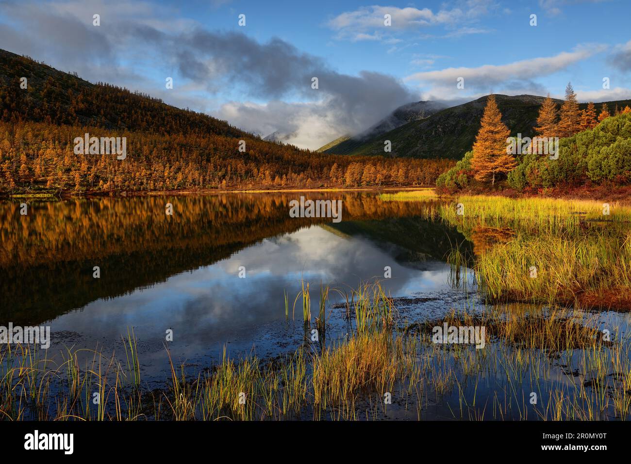 Magadan region hi-res stock photography and images - Alamy