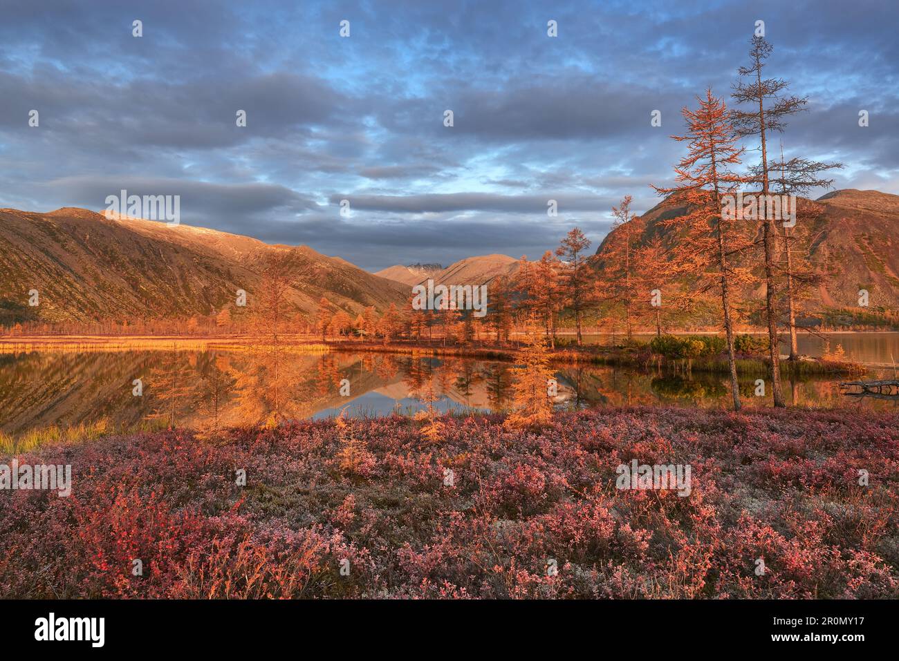 Jack hills region hi-res stock photography and images - Alamy