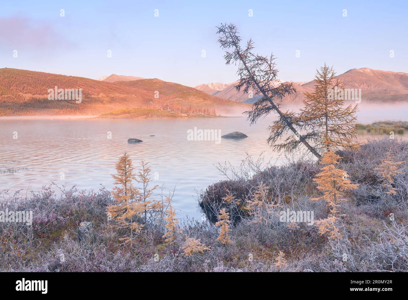 Magadan region hi-res stock photography and images - Alamy