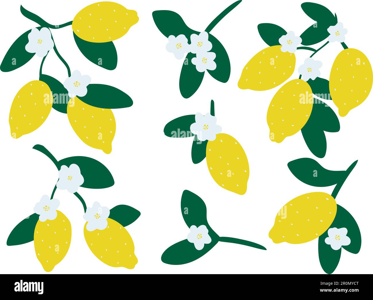 Lemons image Stock Vector Images - Alamy