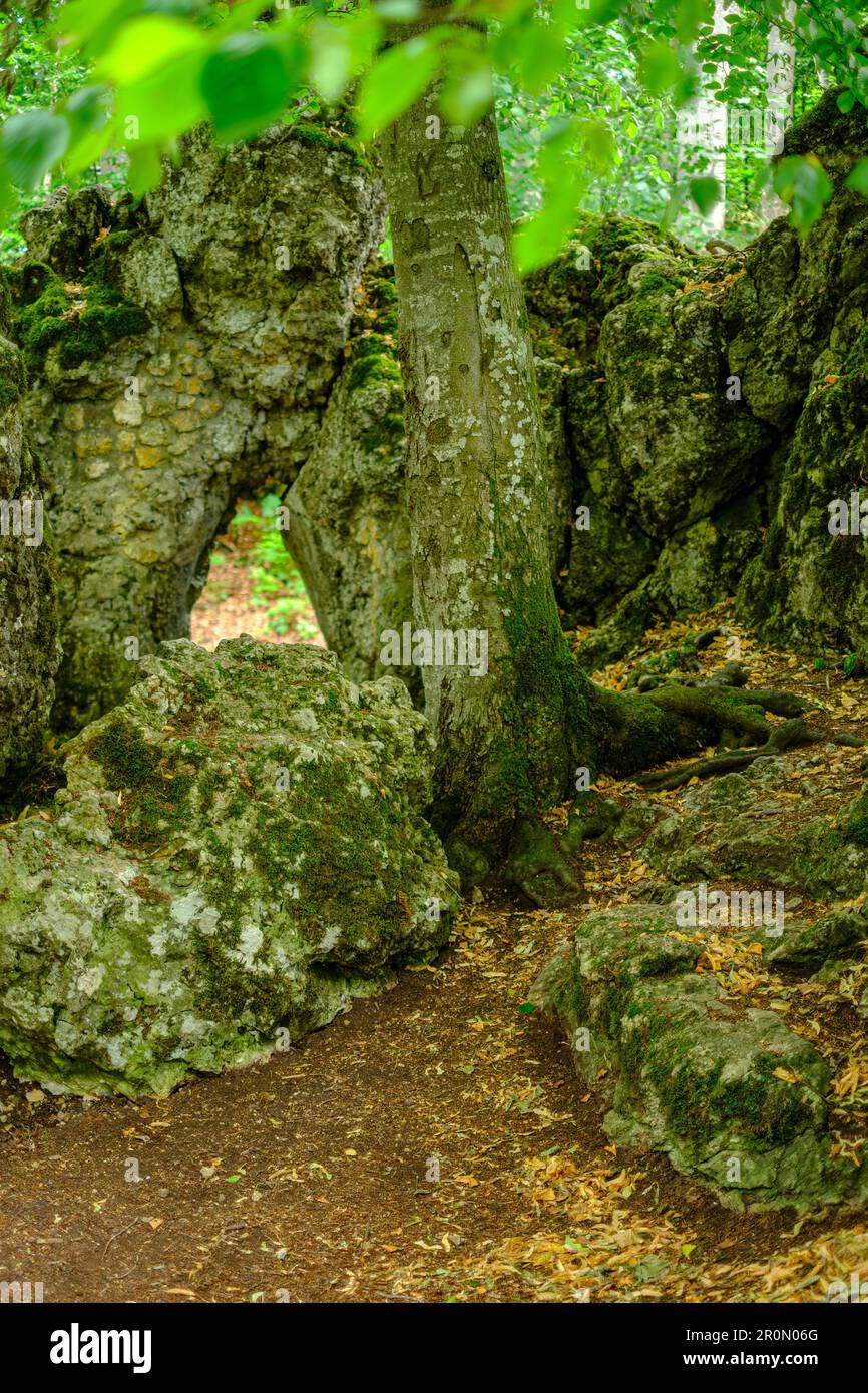 Remains of the castle ruin Alt-Lichtenstein, off Lichtenstein Castle ...