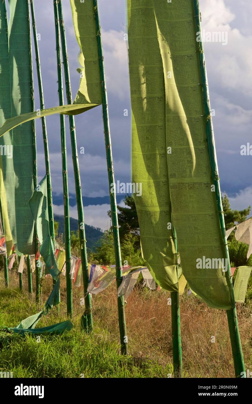 Prayer flags in front of the Pema Choling Nunnery, Tang Valley ...