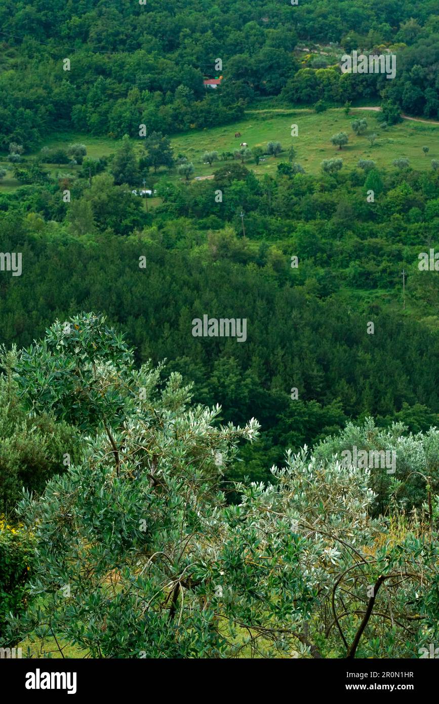 Umbria landscape,after the rain, Valle Tiberina valley, Italy, Europe ...