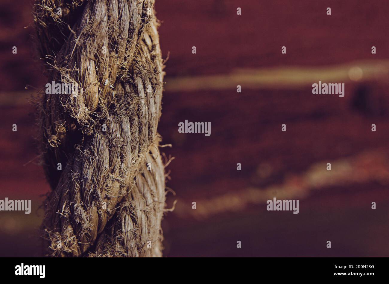 A strong rope, concept for teamwork, togetherness Stock Photo - Alamy