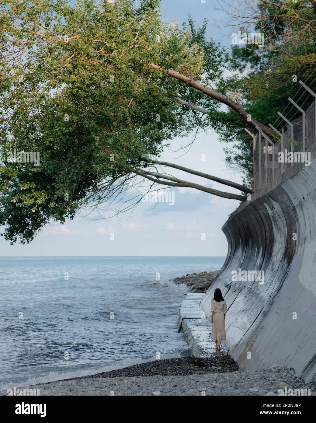 Back view of distant female traveler in dress standing on edge near ...