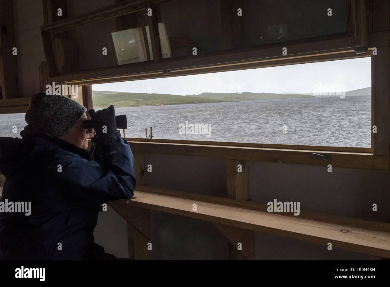 Woman birdwatching from the RSPB Loch of Spiggie bird hide in the north ...