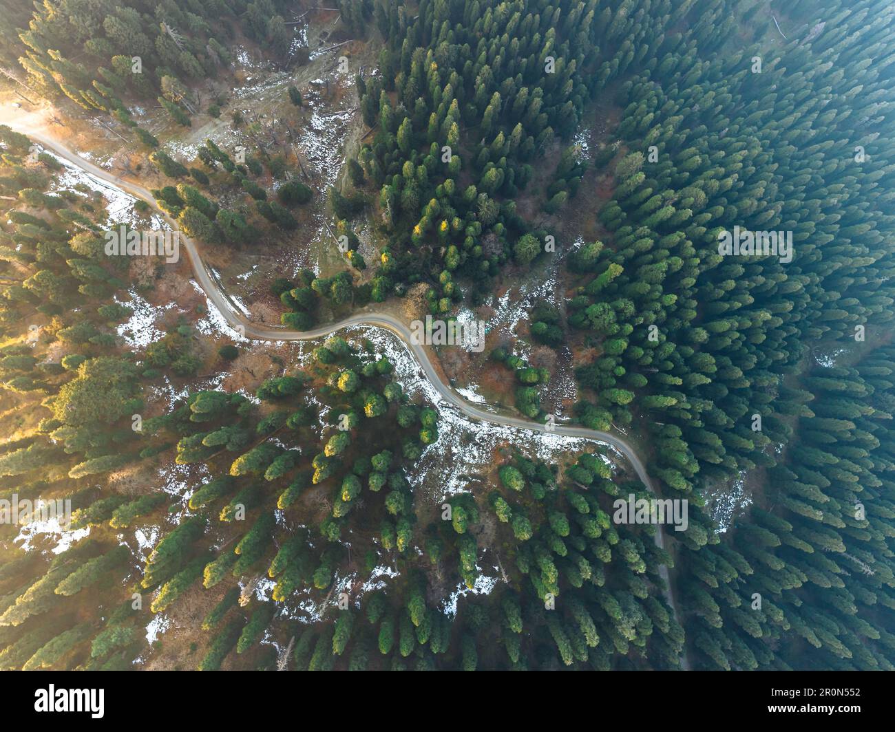 Aerial view of Pine forest in Gulmarg, Kashmir Stock Photo - Alamy
