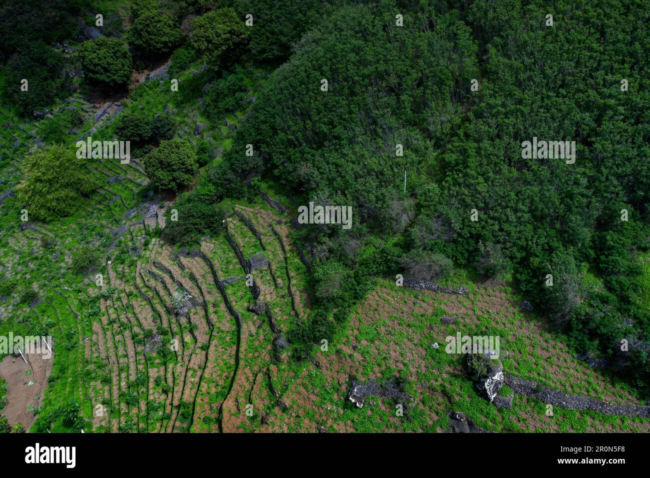 Cape Verde, San Antao Island, aireal shot, farm, agriculture Stock ...