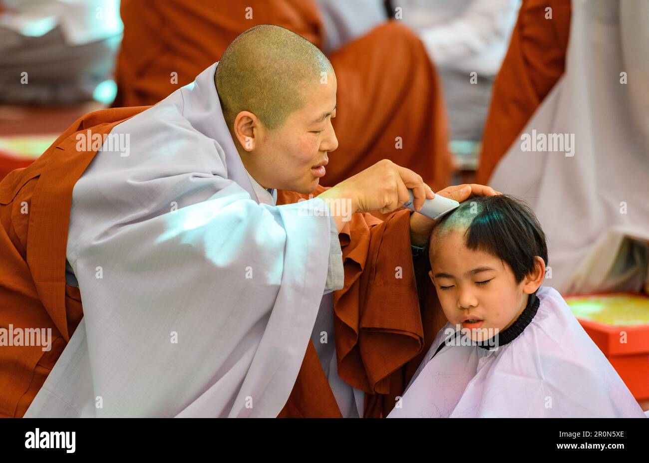 A South Korean child monk has his head shaved by a Buddhist monk during ...