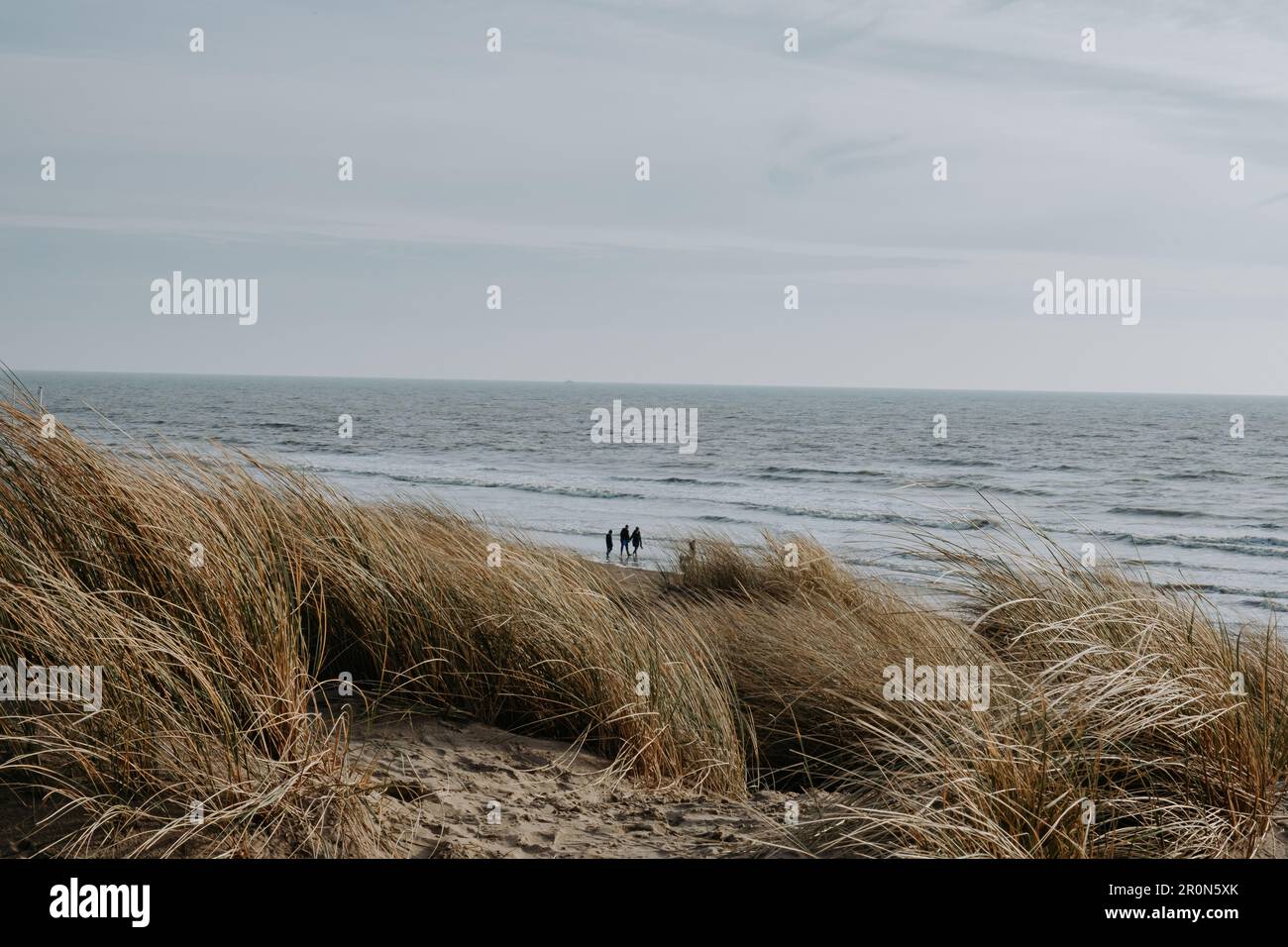 Green grassy shoreline of a tranquil blue sea, with a few trees in the ...