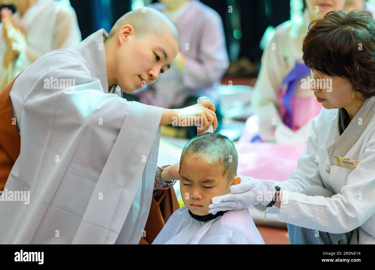 A South Korean child monk has his head shaved by a Buddhist monk during ...