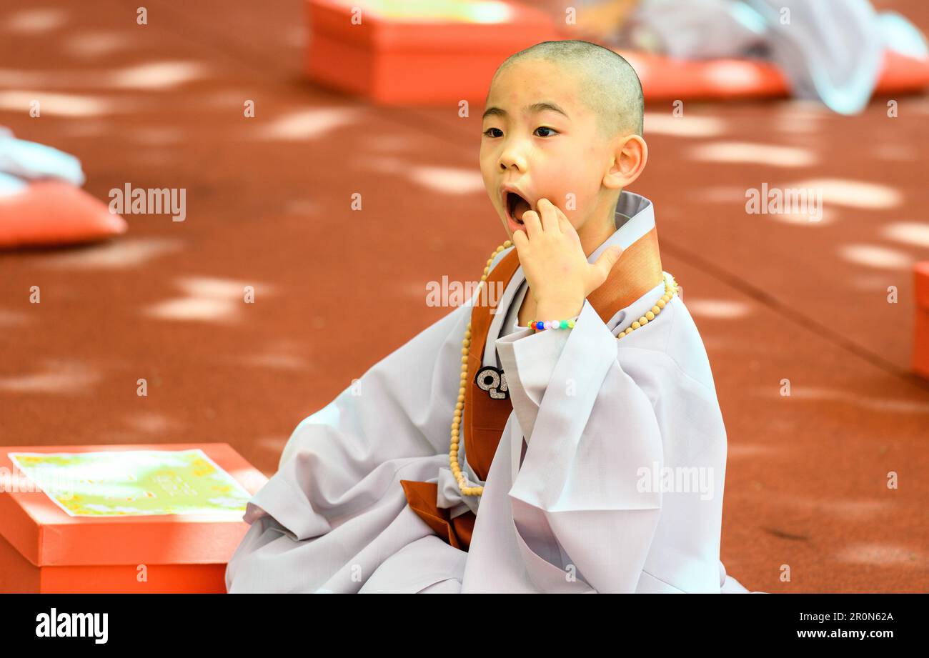 A South Korean child monk attends an event to celebrate the upcoming ...