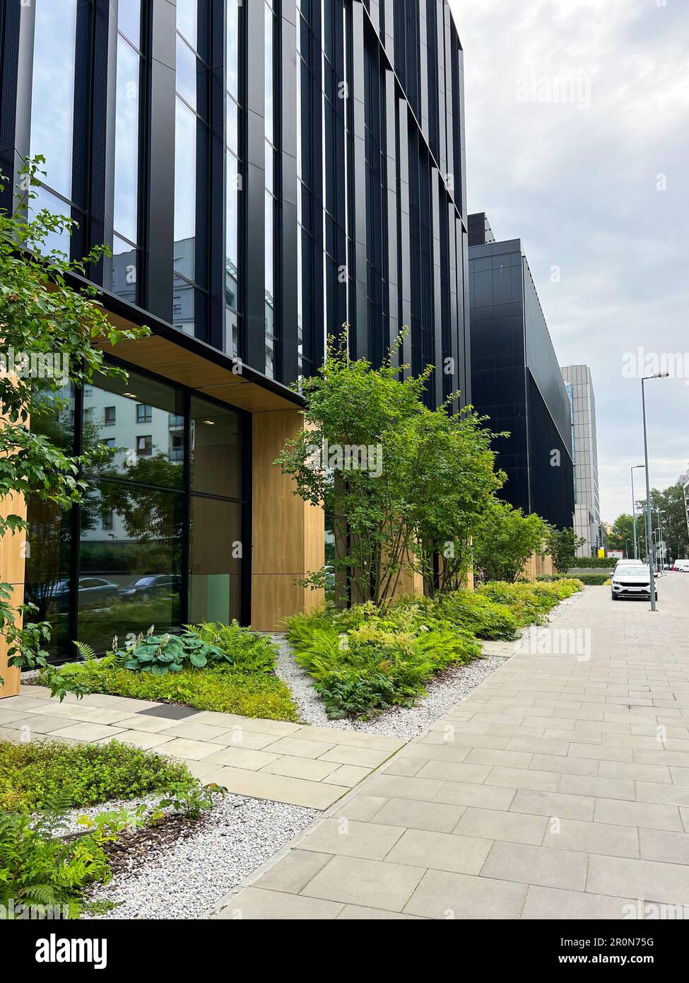 City street with beautiful buildings, pavement and green plants Stock ...