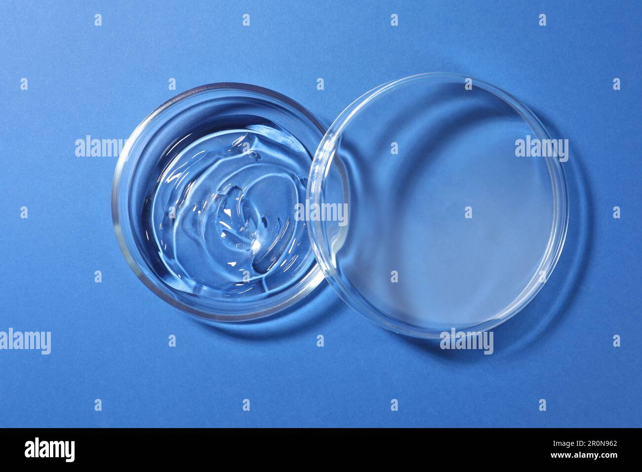 Petri dish with liquid and lid on blue background, flat lay Stock Photo ...