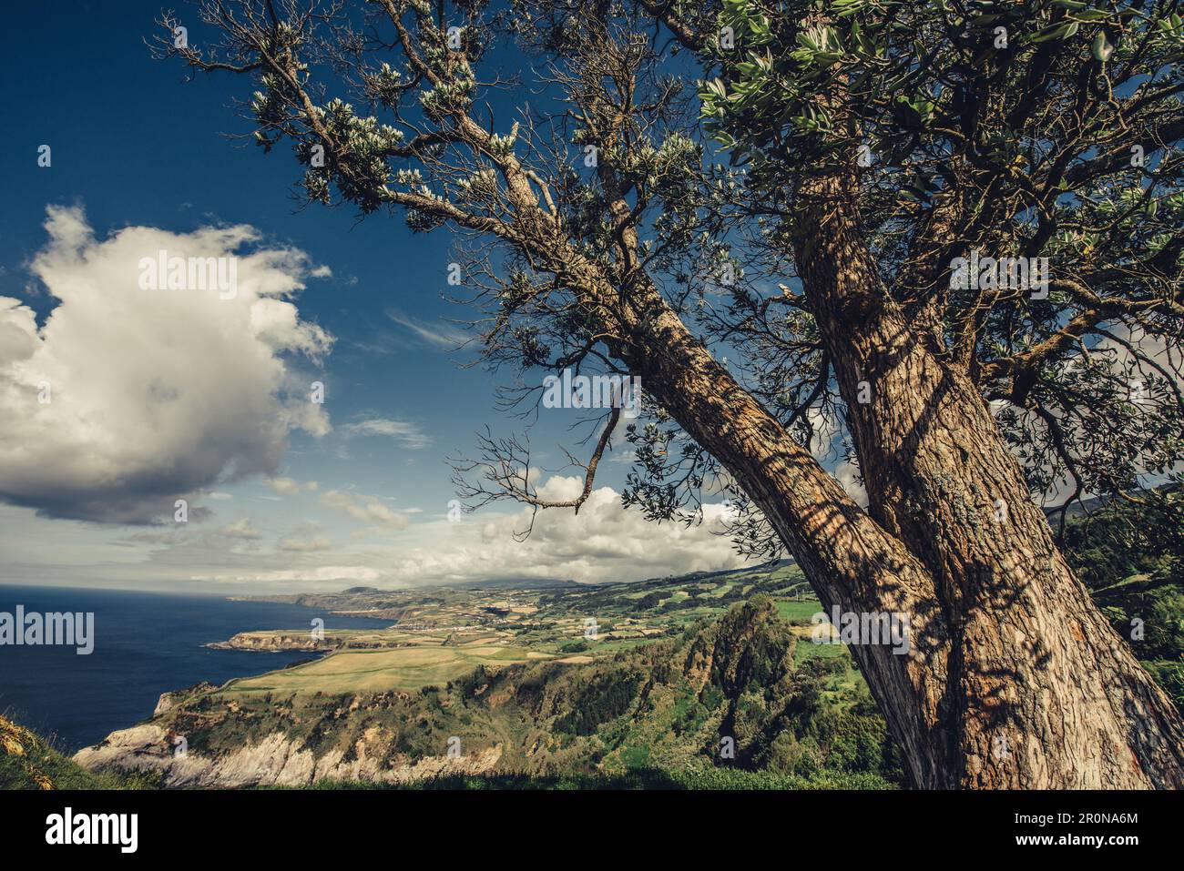 Coastal landscape in the Azores, Sao Miguel, Azores, Portugal, Atlantic ...
