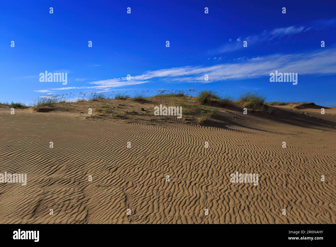 Remote desert landscape with sparse vegetation and white clouds Stock ...
