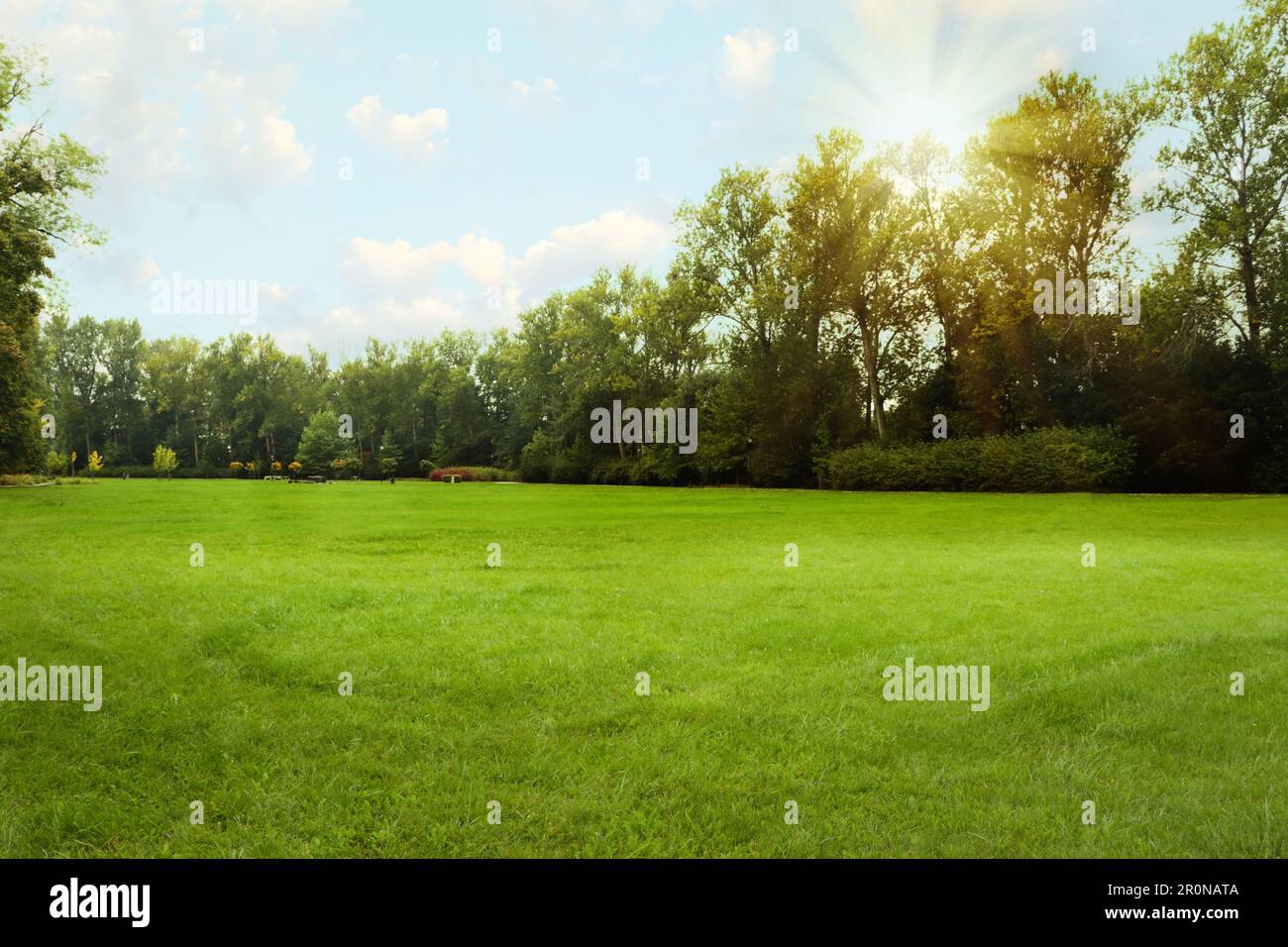 Beautiful public city park with pathway and green grass Stock Photo - Alamy