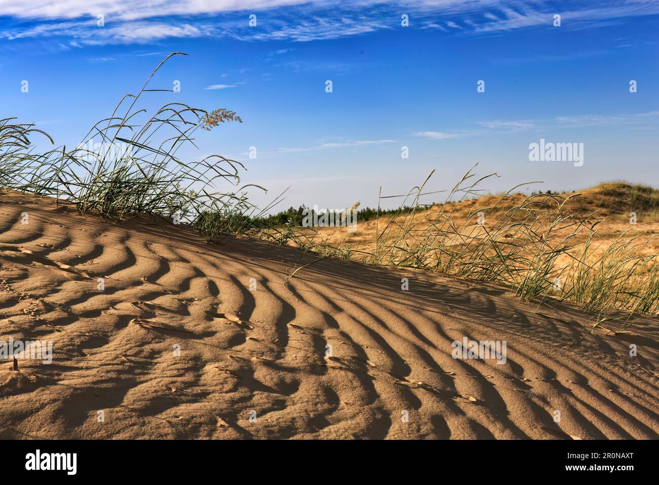 Remote desert landscape with sparse vegetation and white clouds Stock ...