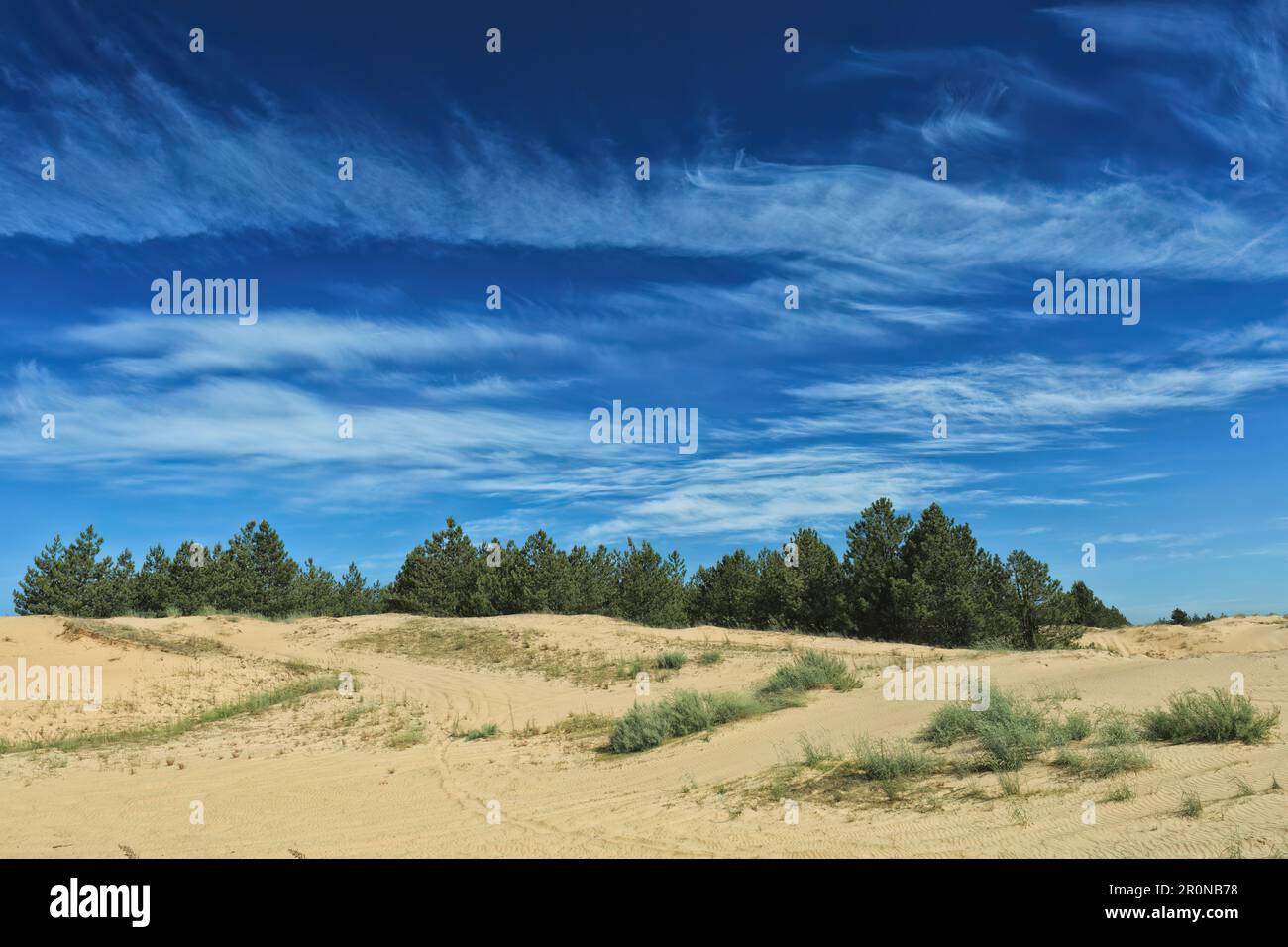Remote desert landscape with sparse vegetation and white clouds Stock ...