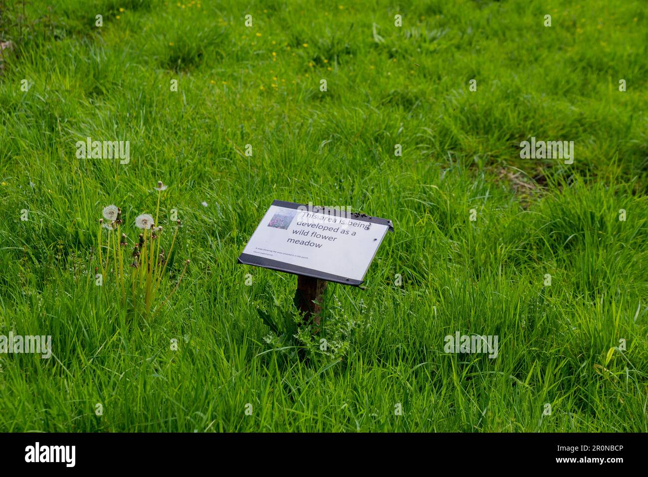 This area is being developed as a wild flower meadow sign, with numbers ...