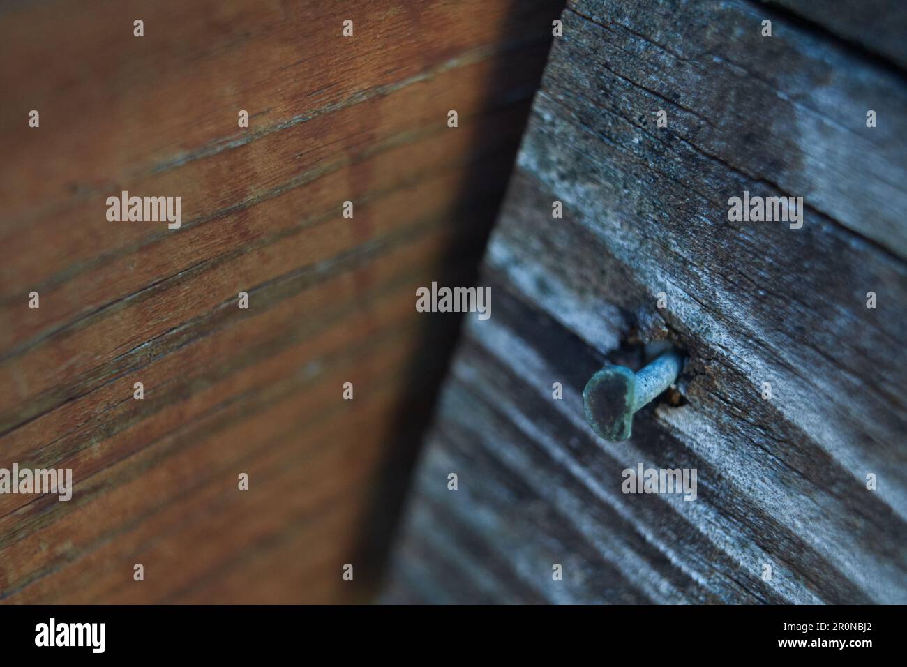 An old wood texture with a spike on it Stock Photo - Alamy