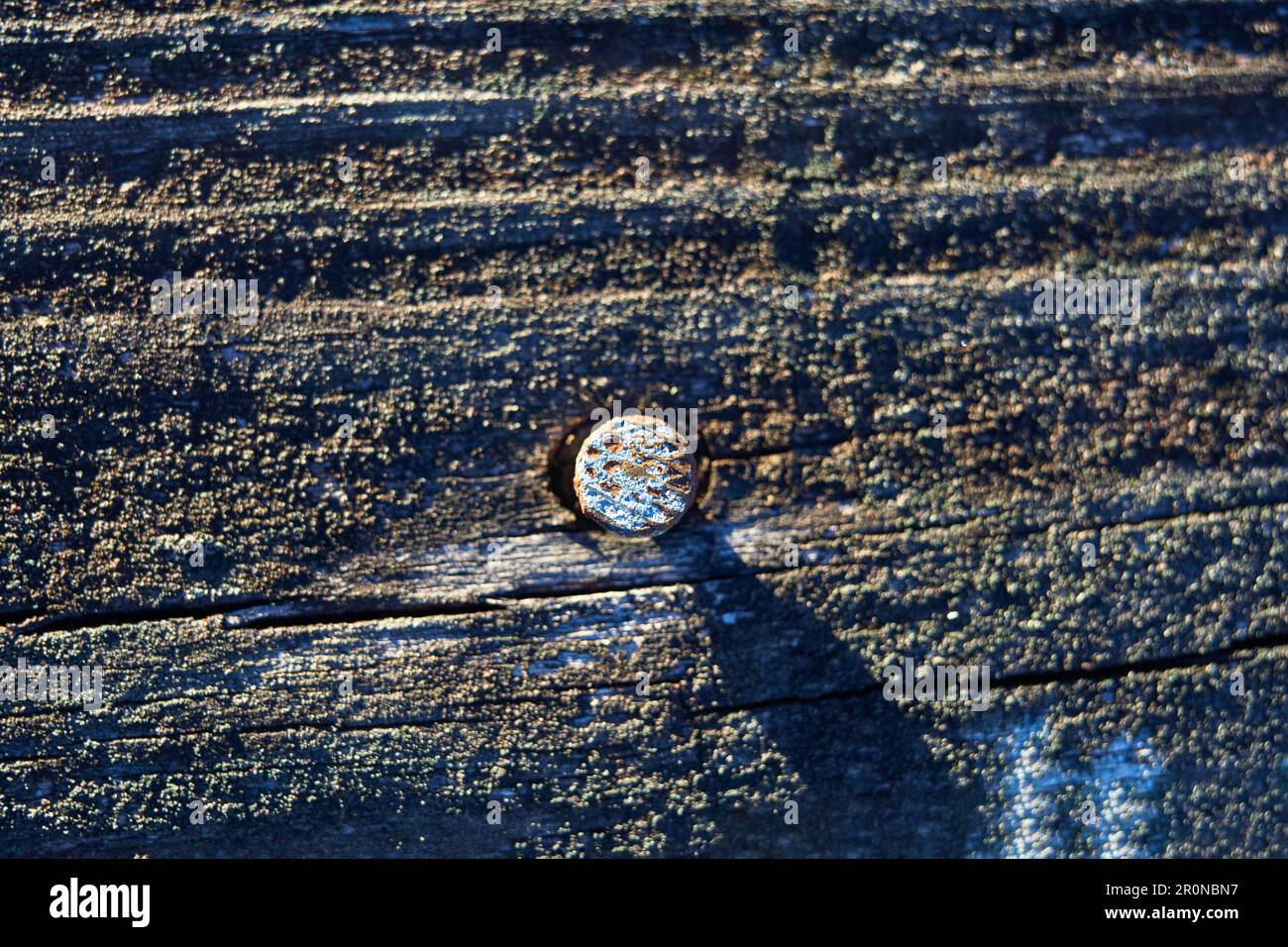 An old wood texture with a spike on it Stock Photo - Alamy