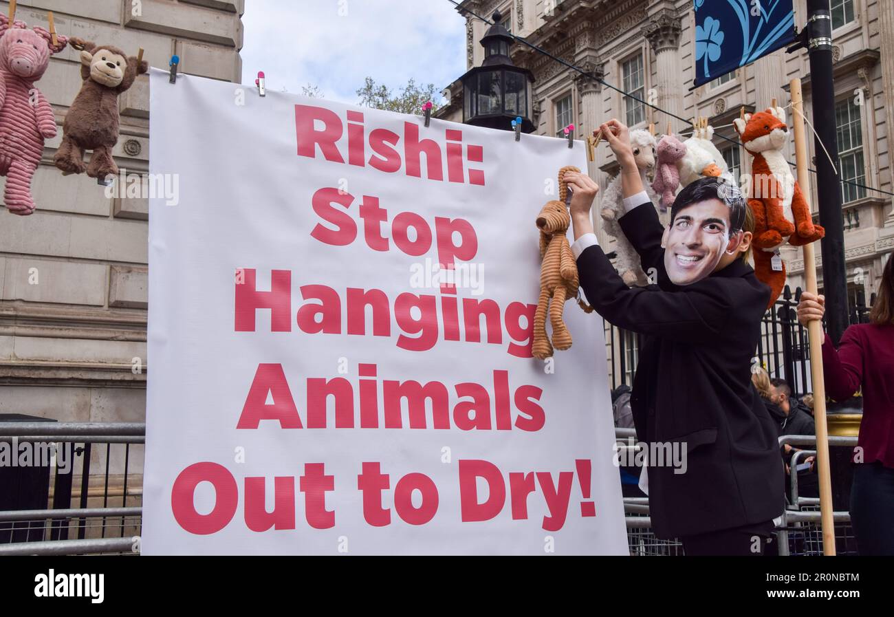 London, UK. 9th May 2023. A protester dressed as Prime Minister Rishi ...