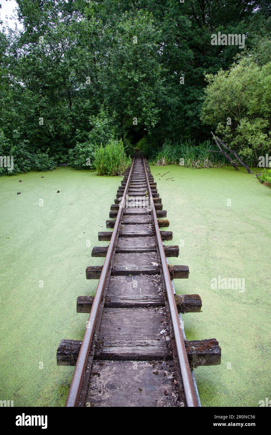 Overgrown rail in the disused amusement park in the Plänterwald ...