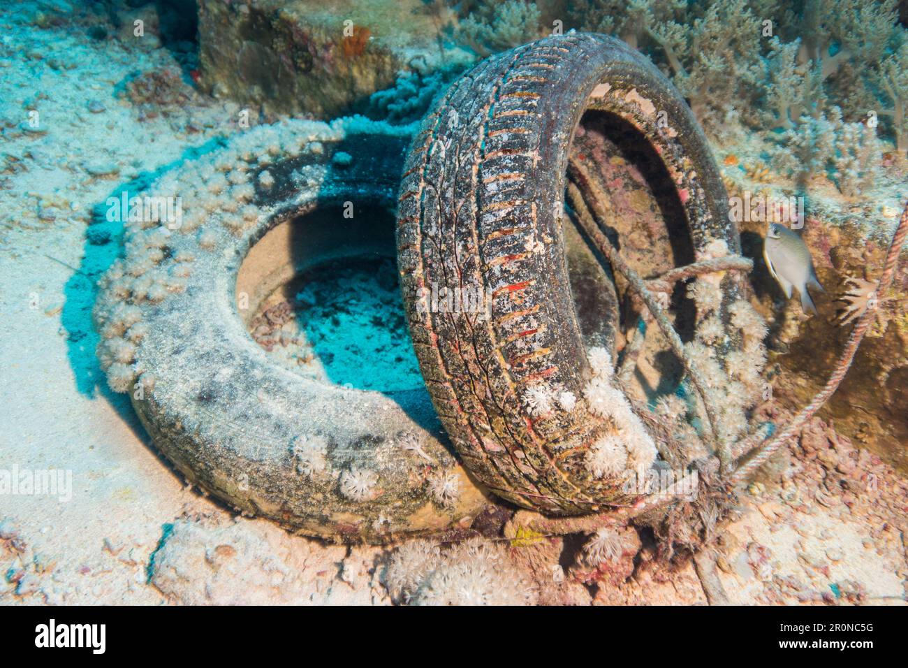Underwater trash hi-res stock photography and images - Alamy