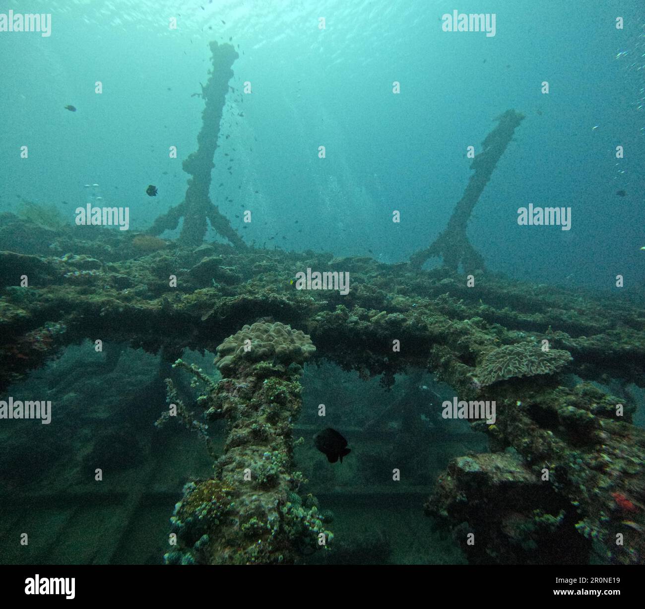 Titanic underwater hi-res stock photography and images - Alamy