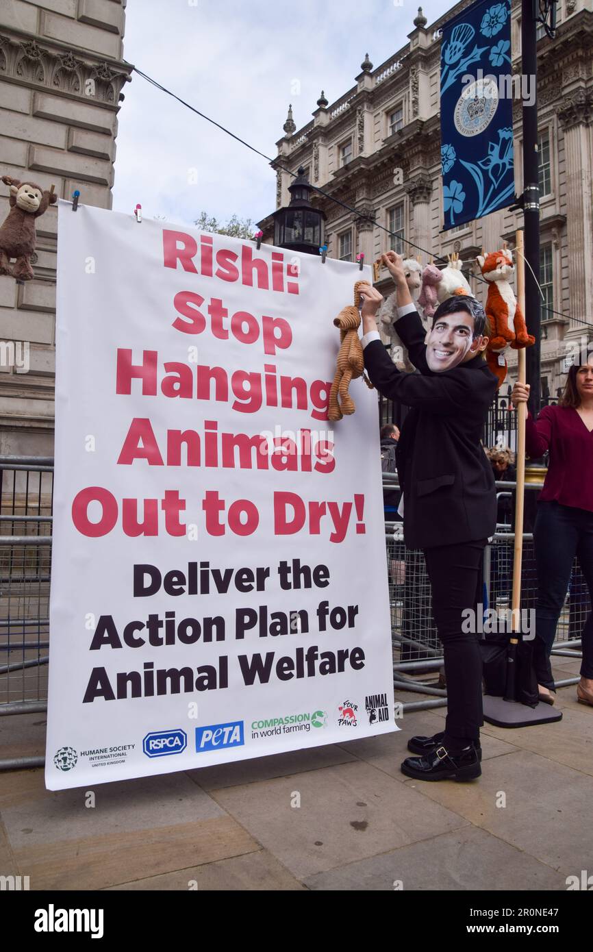 Action plan for animal welfare hi-res stock photography and images - Alamy