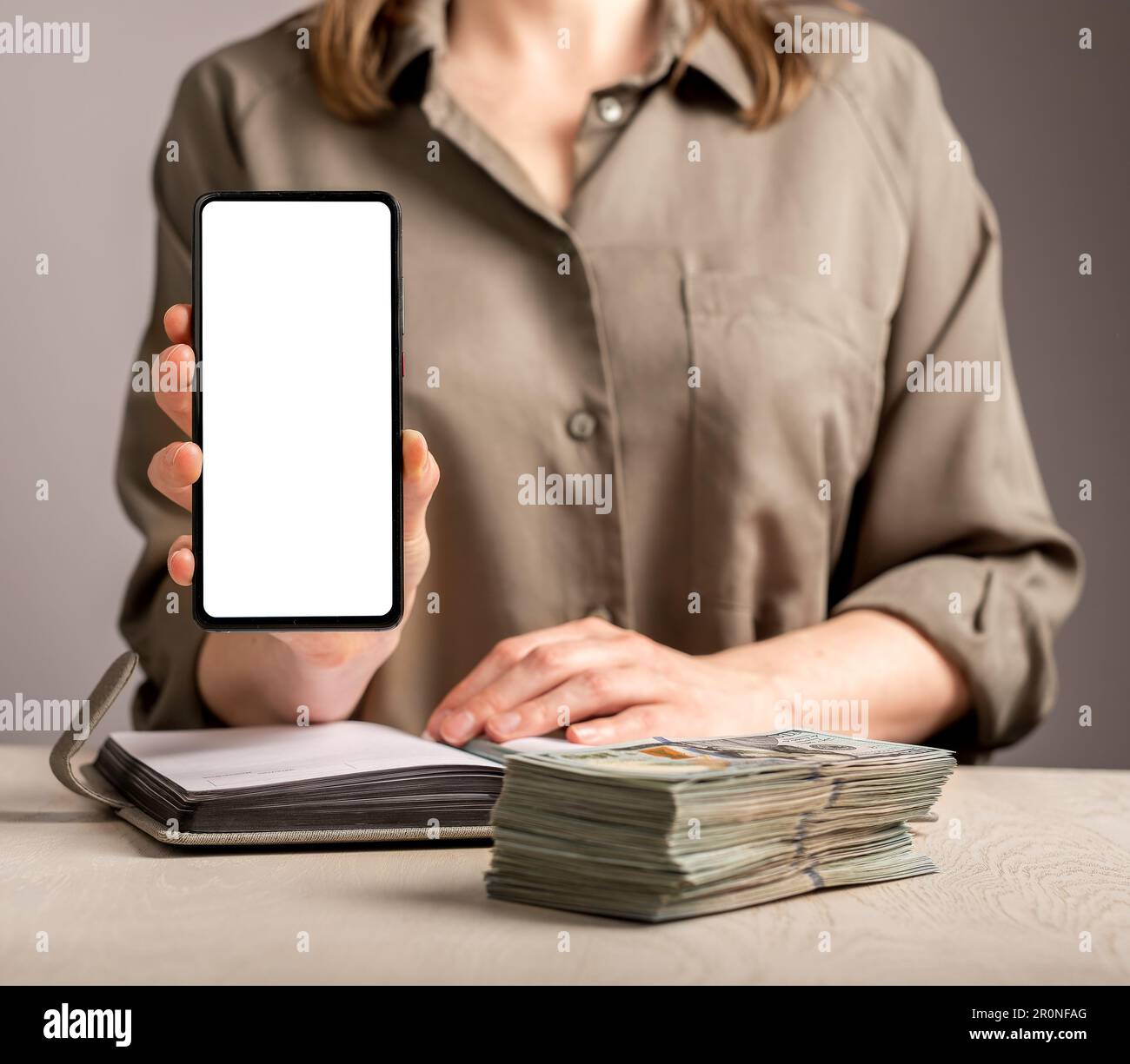 Financial app screen mockup, money management, personal budget, finance ...