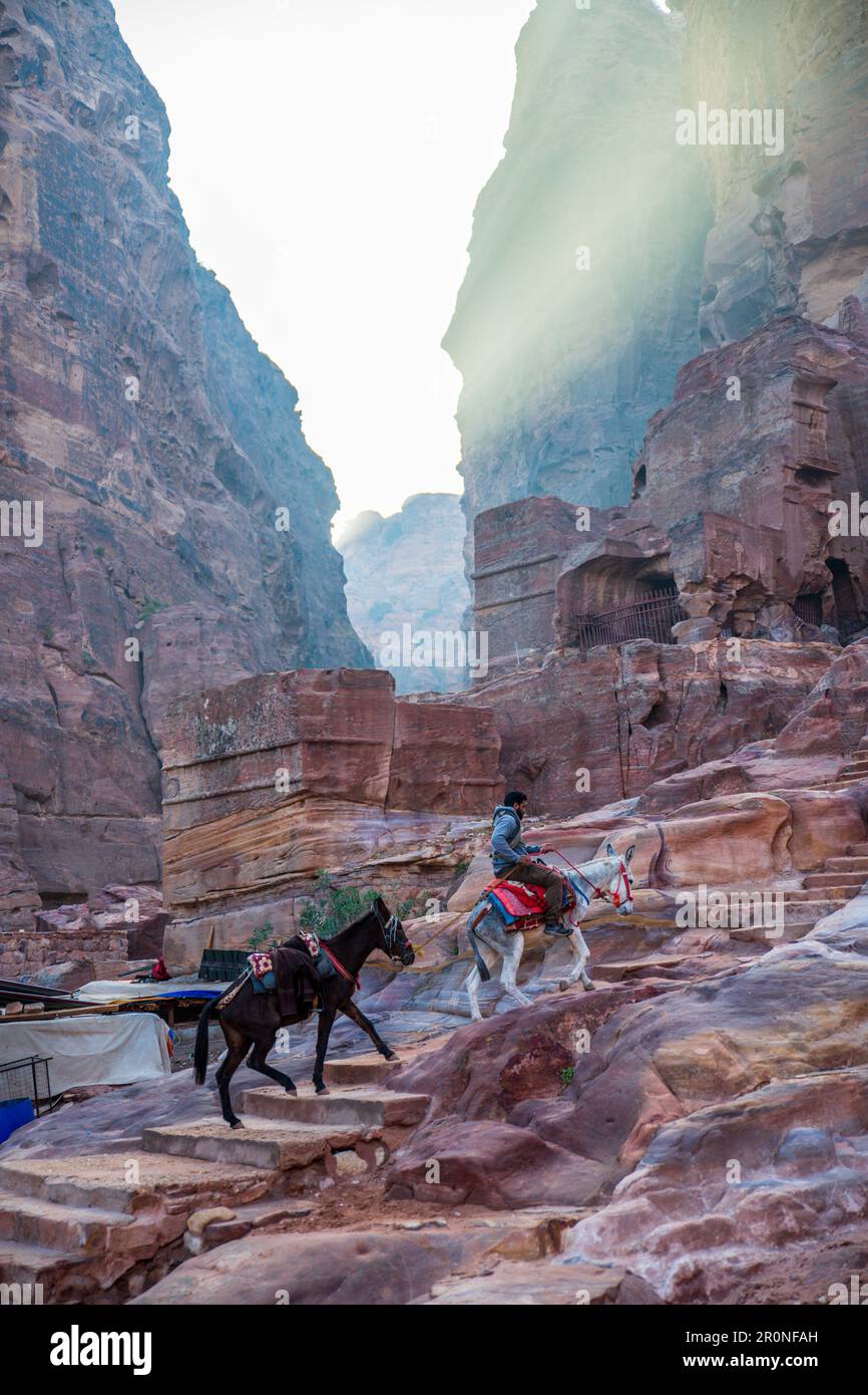 Family trip through Jordan Stock Photo - Alamy