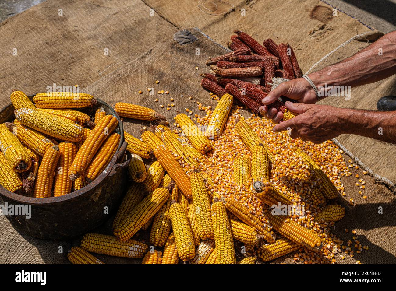 Corn sheller hi-res stock photography and images - Alamy