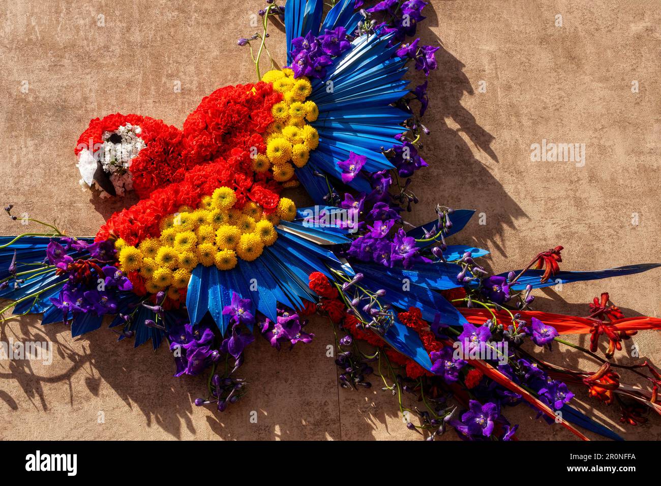 Colourful Parrot bird made of spring flowers Stock Photo - Alamy