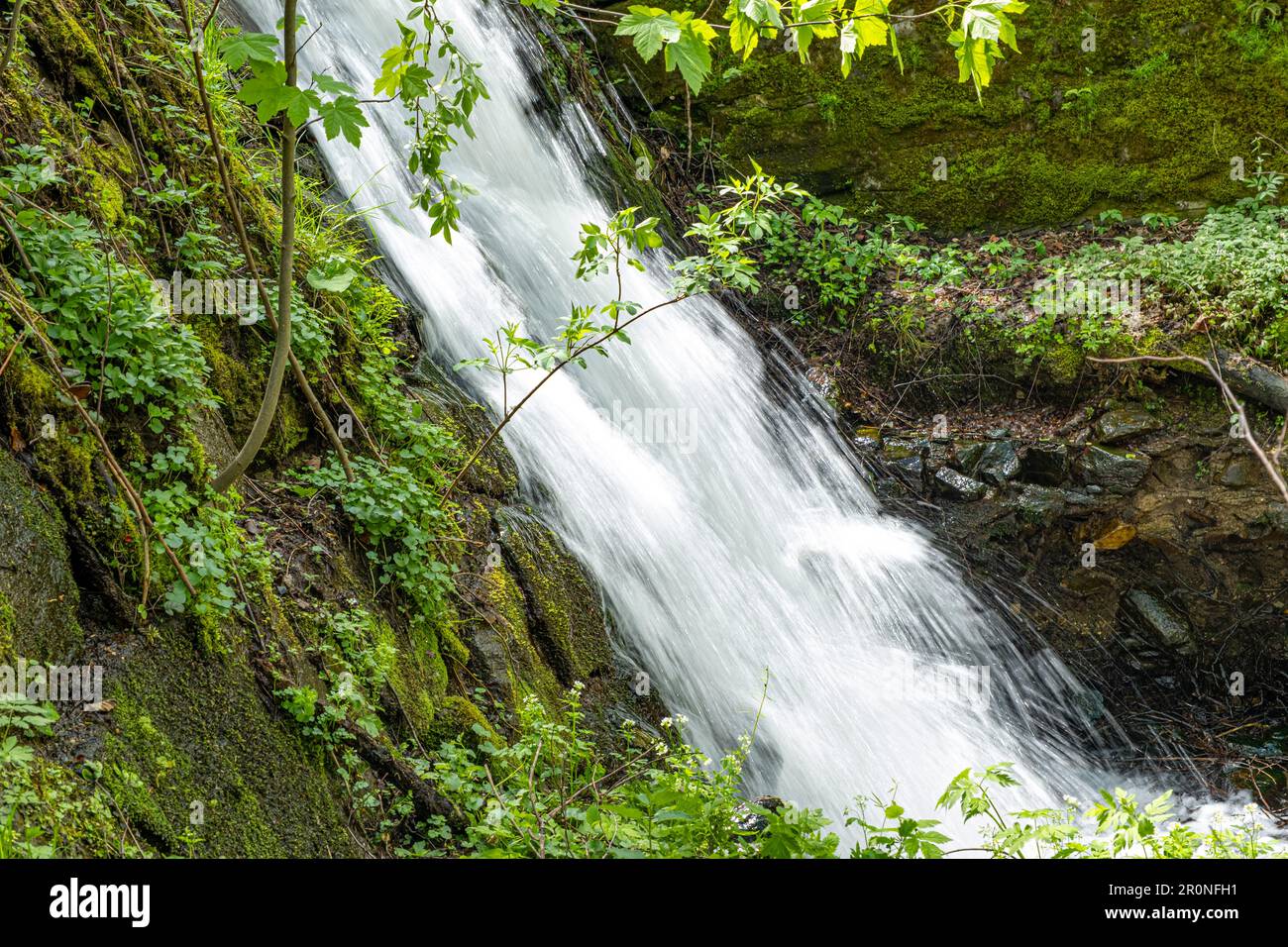 beautiful waterfall in the Cindrel mountains of Romania Stock Photo - Alamy