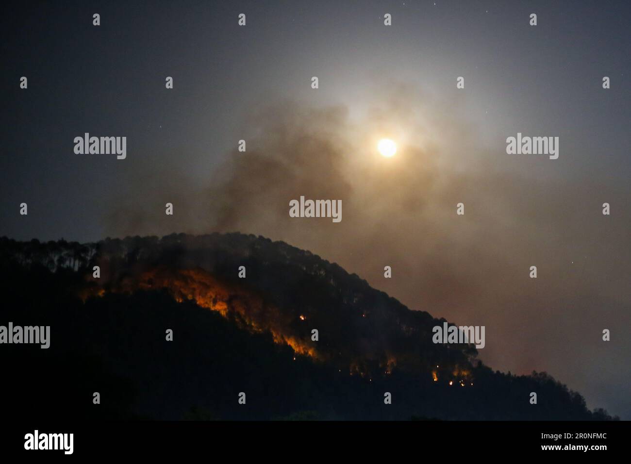 Wildfire at a forest amidst the settlement is pictured at midnight on ...